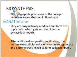Extracellular matrix | PPTX