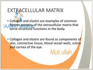 Extracellular matrix | PPT