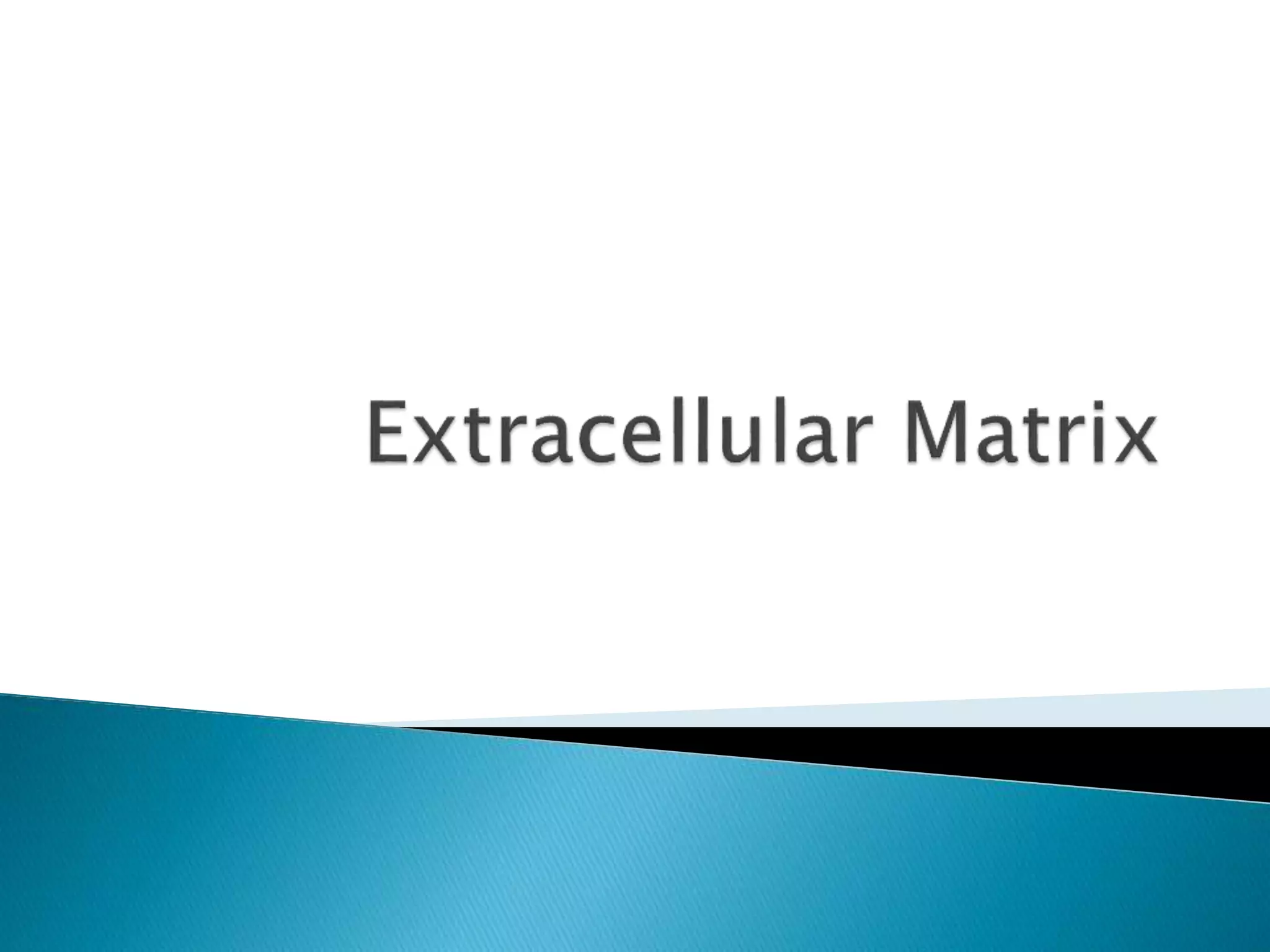 Extracellular matrix | PPTX