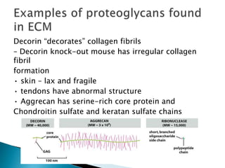 Extracellular matrix | PPTX
