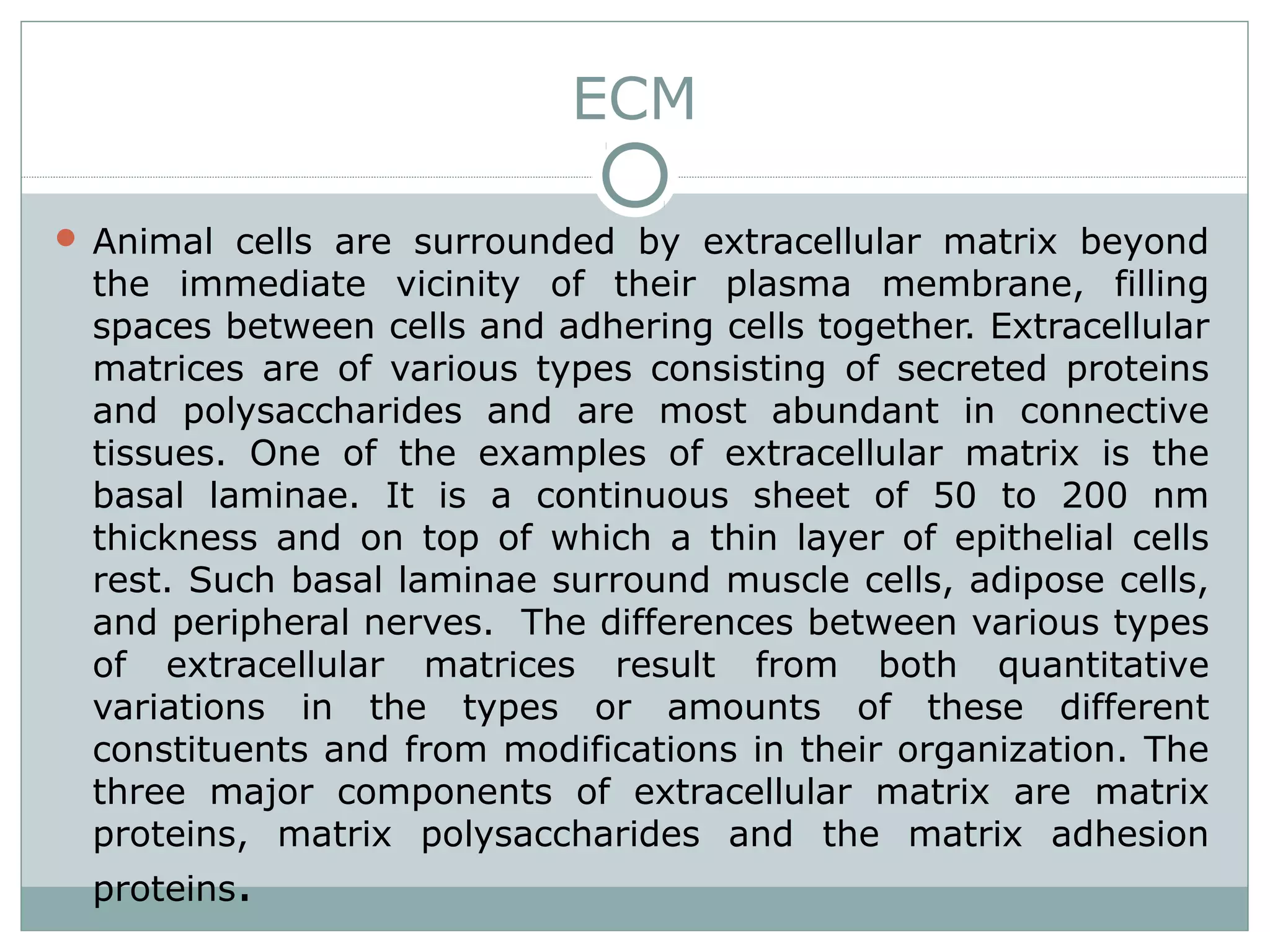 Extracellular matrix | PPT