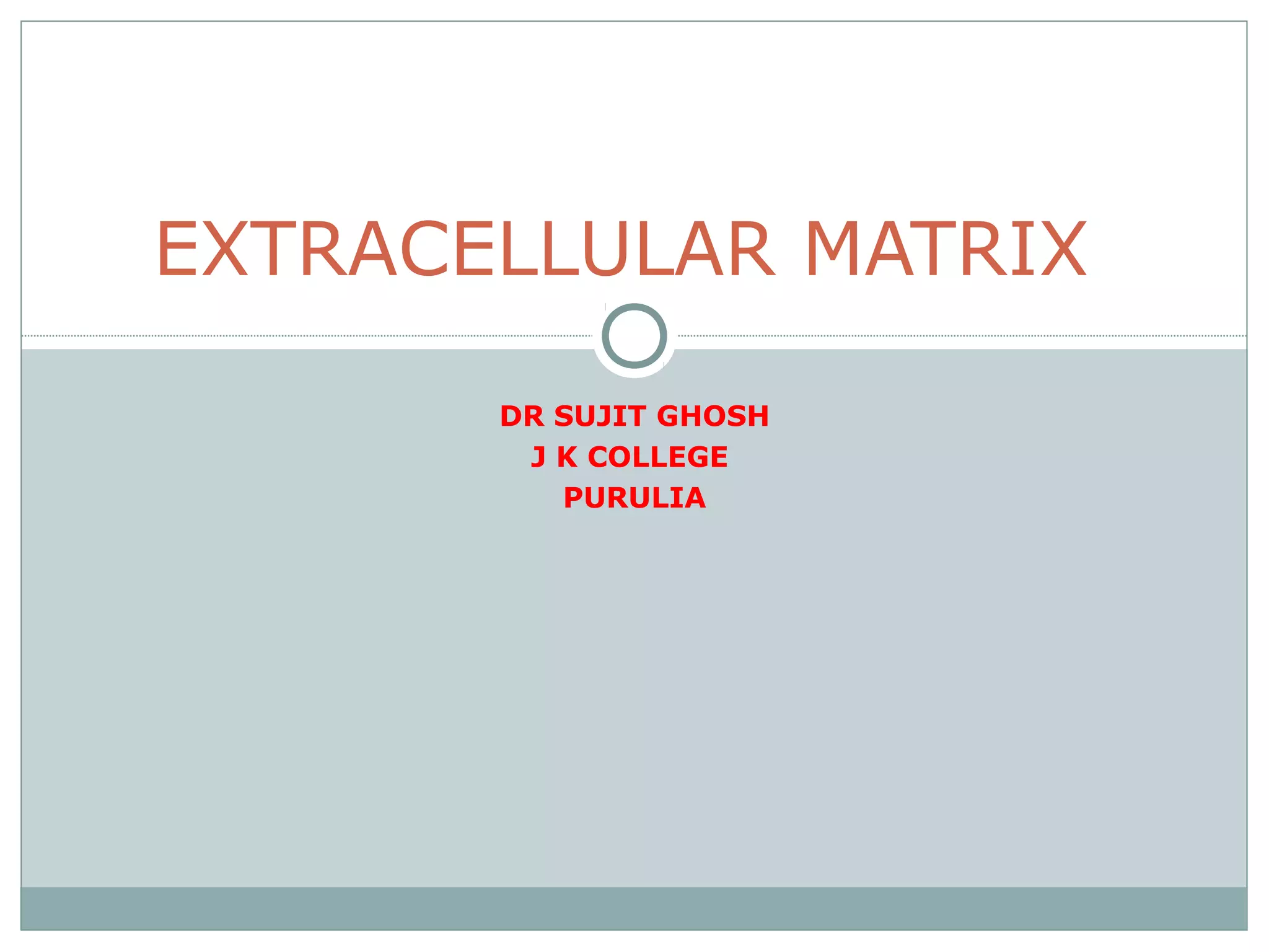 Extracellular matrix | PPT