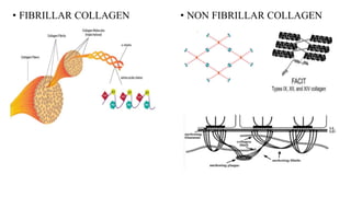Extracellular matrix | PPTX