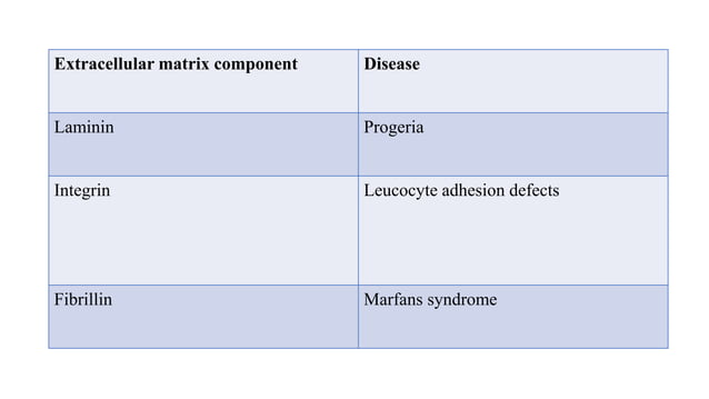Extracellular matrix | PPT