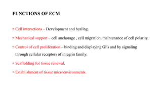 Extracellular matrix | PPT