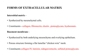 Extracellular matrix | PPT