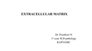 Extracellular matrix | PPT