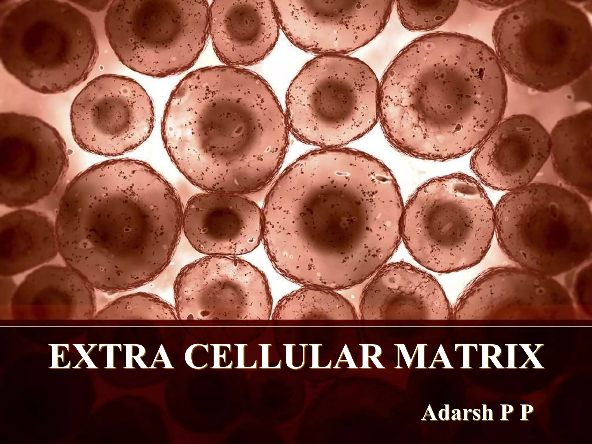 Extra cellular matrix | PPTX
