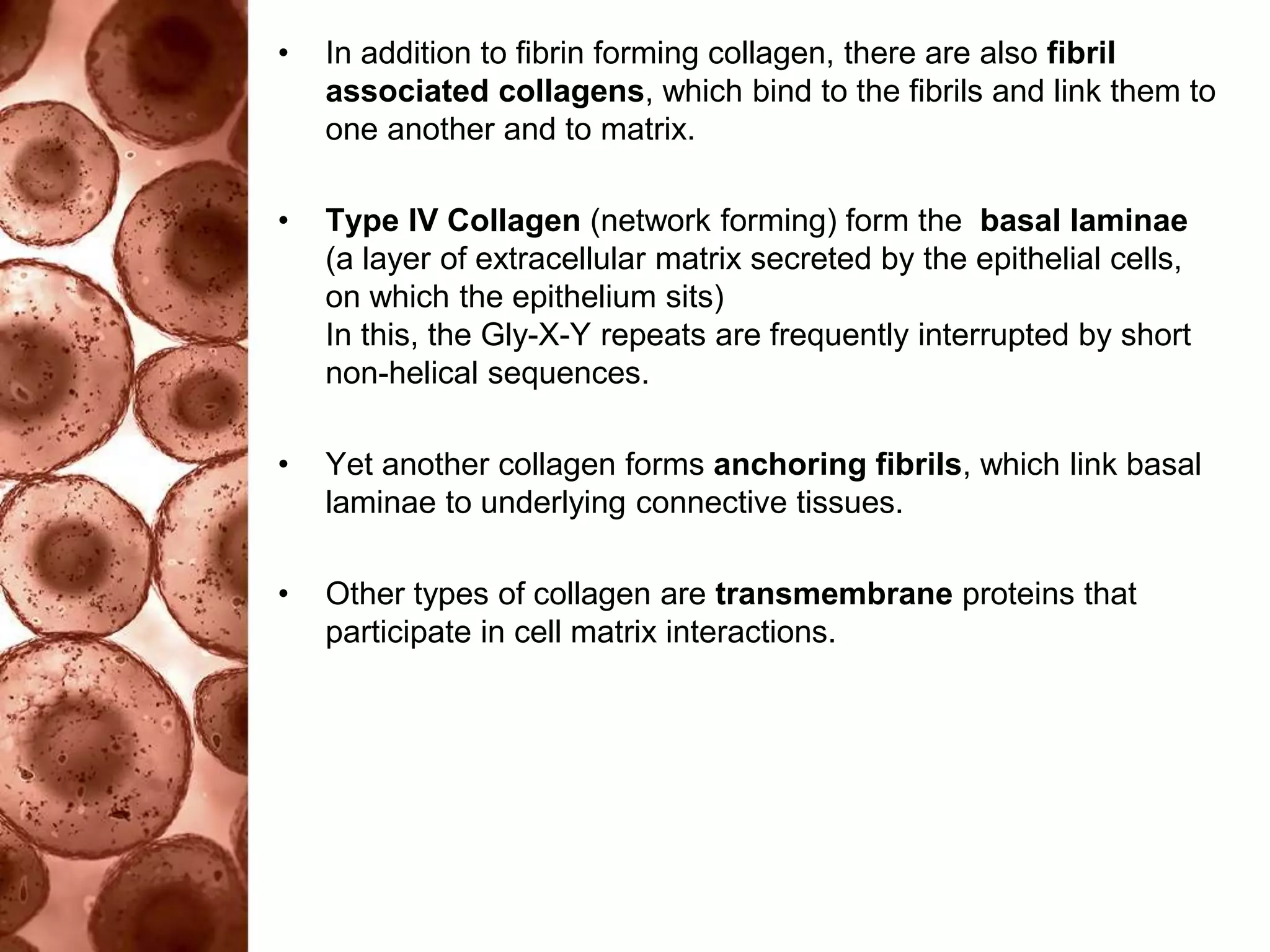 Extra cellular matrix | PPTX