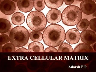 Extra cellular matrix | PPTX