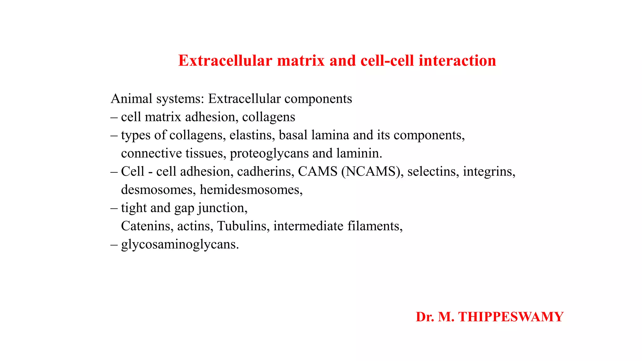 Extracellular matrix | PPT