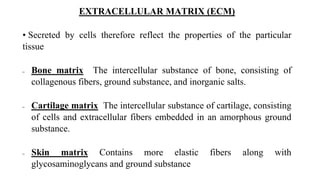 Extracellular matrix | PPT