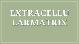 Extracellular Matrix - Components (+ Collagen Synthesis) | PPTX