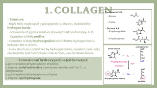 Extracellular Matrix - Components (+ Collagen Synthesis) | PPTX