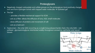 Extracellular Matrix.pptx
