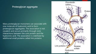 Extracellular Matrix.pptx
