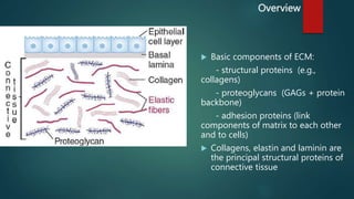 Extracellular Matrix.pptx
