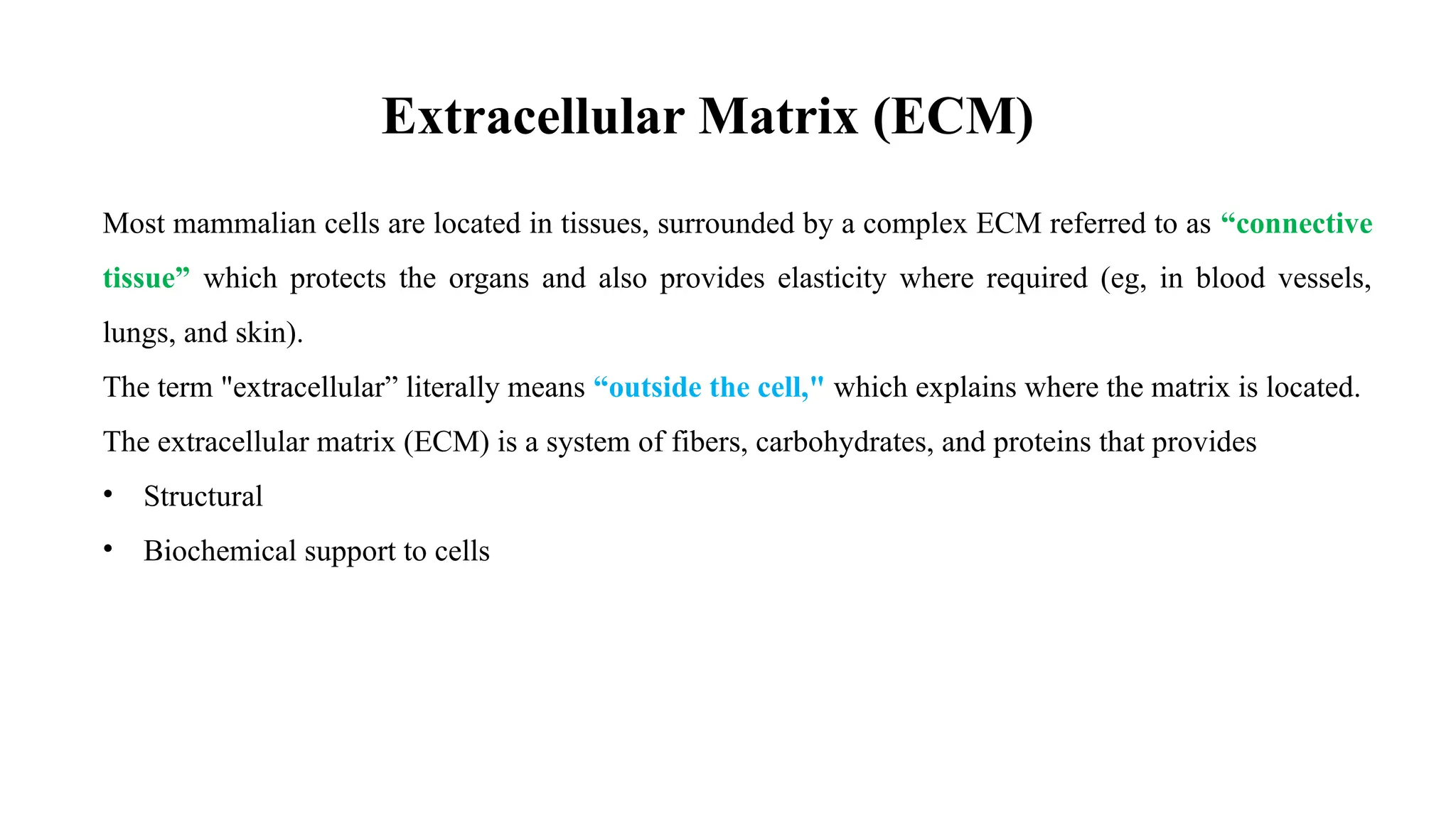 Hdidjndjdjejdjeirjnejeiejrjjrjr Matrix.pptx