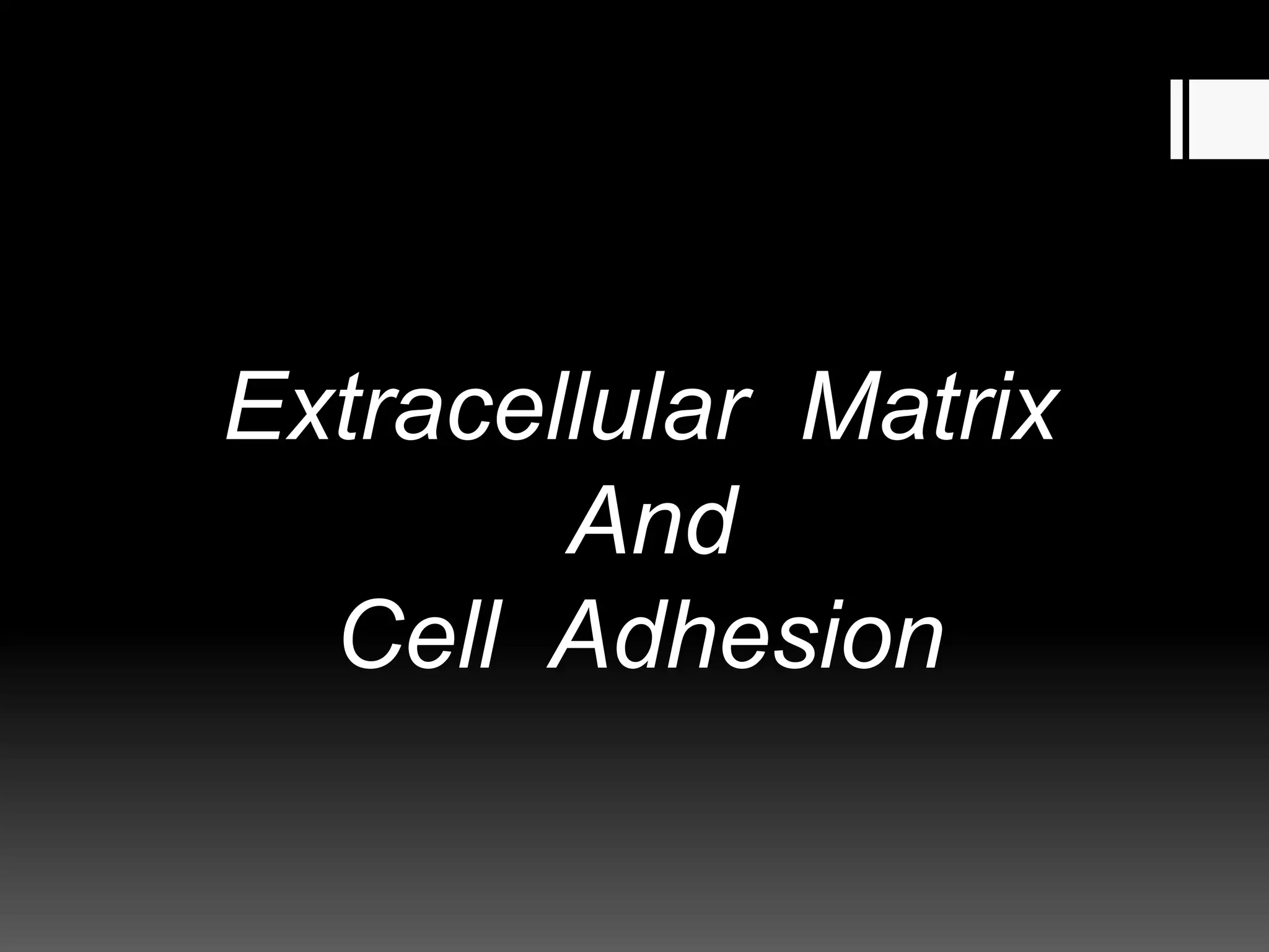 Extracellular Matrix And Cell Adhesion | PPTX