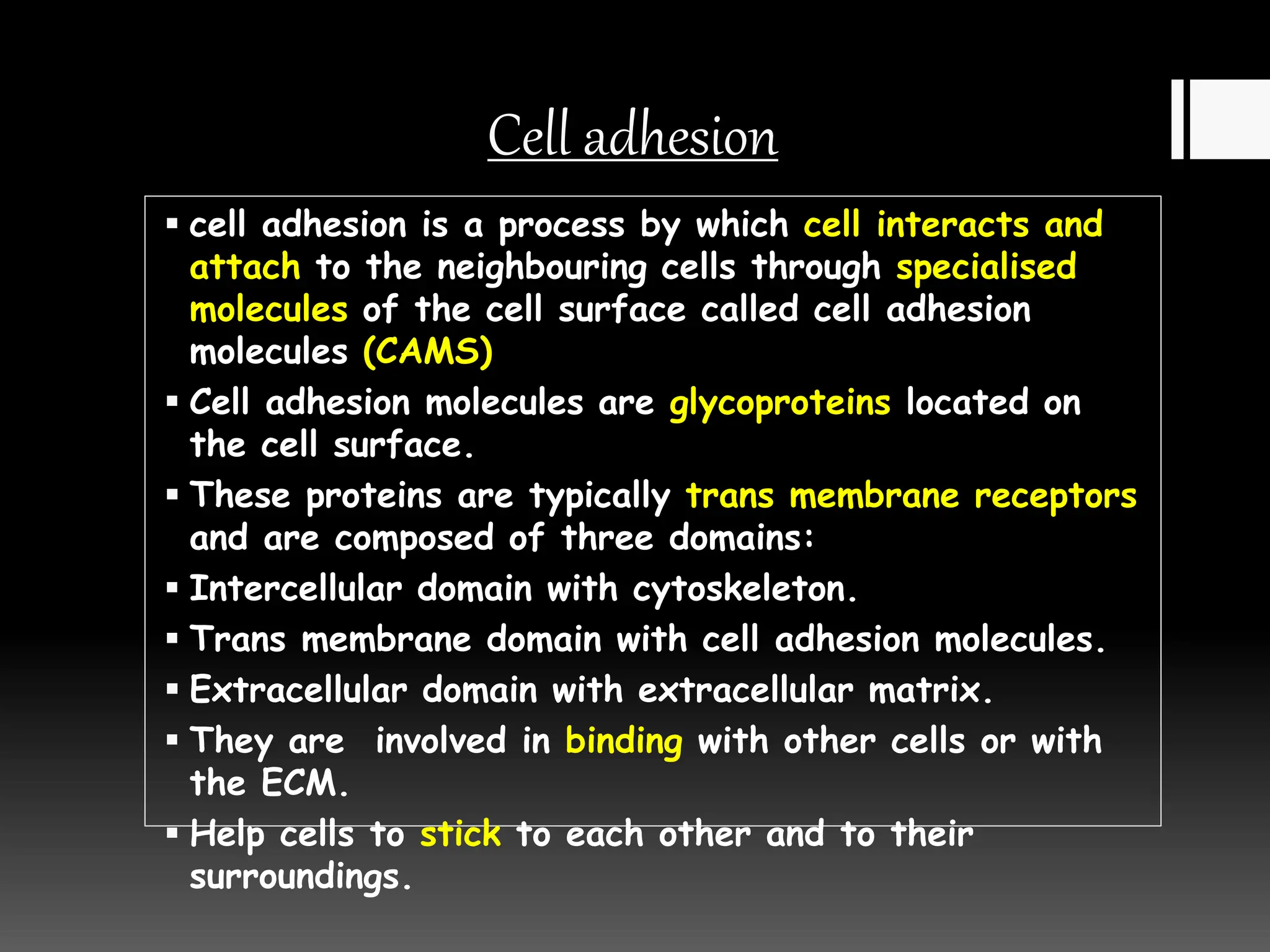 Extracellular Matrix And Cell Adhesion | PPTX