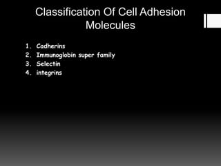 Extracellular Matrix And Cell Adhesion | PPTX