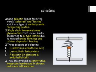 Extracellular Matrix And Cell Adhesion | PPTX