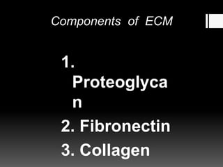 Extracellular Matrix And Cell Adhesion | PPTX