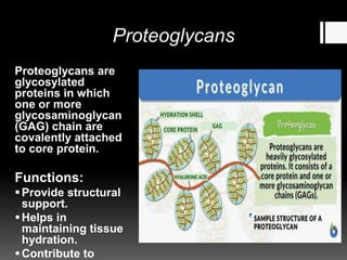 Extracellular Matrix And Cell Adhesion | PPTX