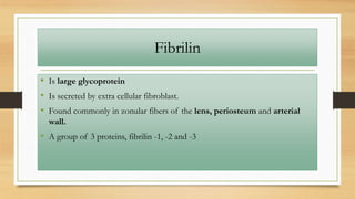 Extracellular matrix [autosaved] | PPTX | Biological Sciences | Science