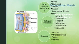 Extracellular matrix in tissue formation, homeostasis, and integrity.pptx