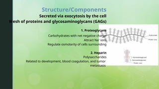 Extracellular matrix in tissue formation, homeostasis, and integrity.pptx