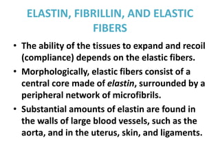 Extracellular matrix n collagen | PPTX