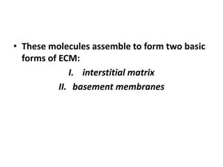 Extracellular matrix n collagen | PPTX