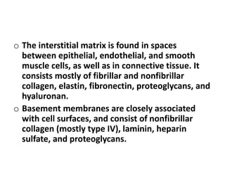 Extracellular matrix n collagen | PPTX | Biological Sciences | Science