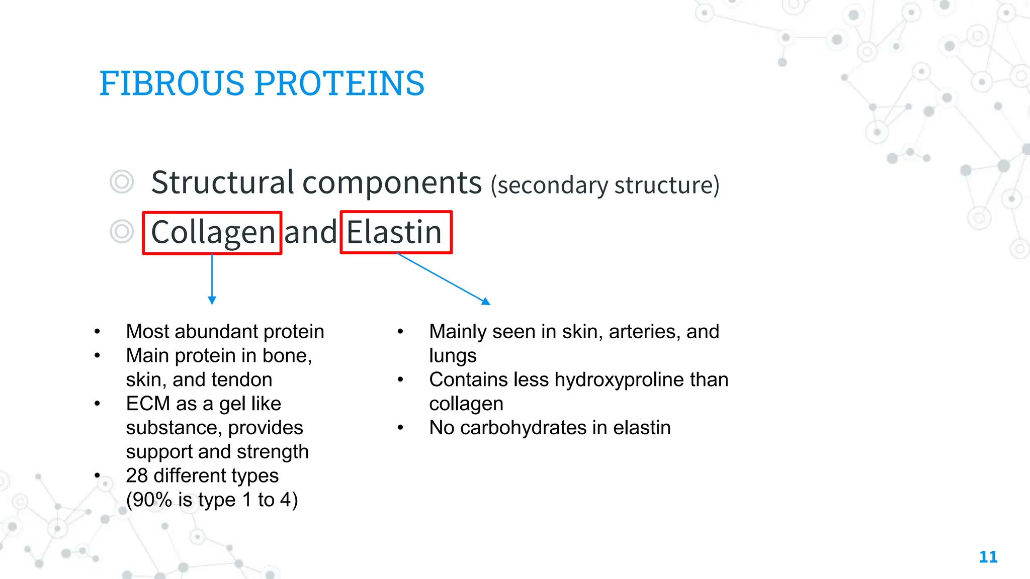 Extracellular Matrix ppt.pptx