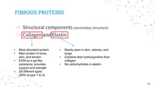 Extracellular Matrix ppt.pptx