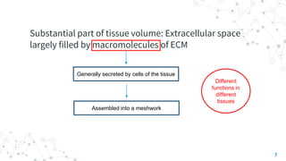 Extracellular Matrix ppt.pptx