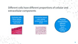 Extracellular Matrix ppt.pptx