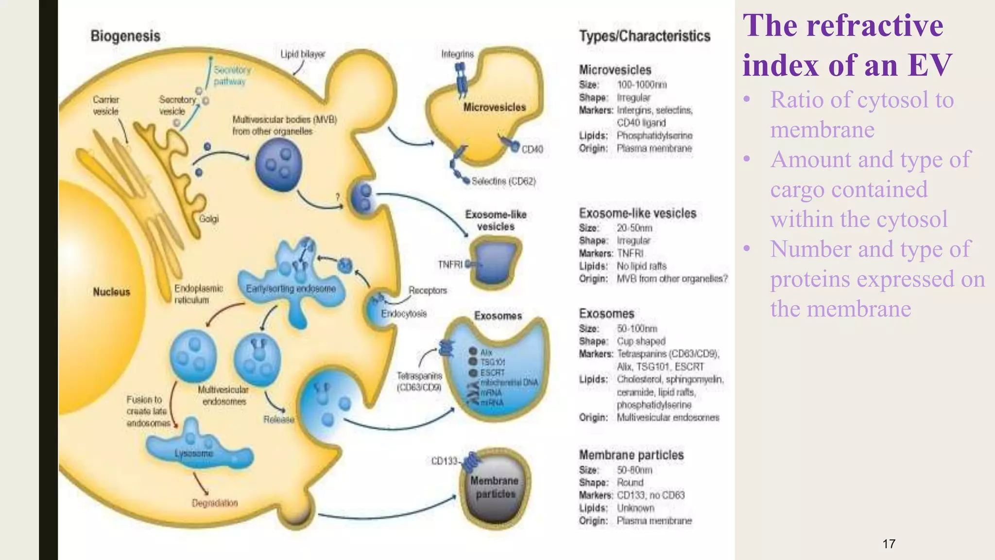 Extracellular Vesicle Flow Cytometry Analysis and Standardization | PPTX