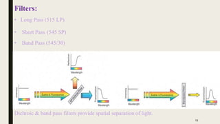 Extracellular Vesicle Flow Cytometry Analysis and Standardization | PPTX