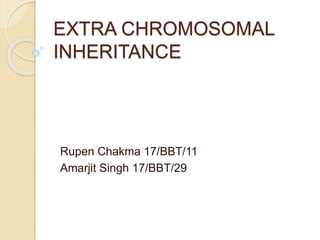 EXTRA CHROMOSOMAL INHERITANCE | PPTX