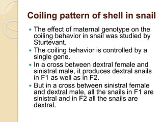 EXTRA CHROMOSOMAL INHERITANCE | PPTX