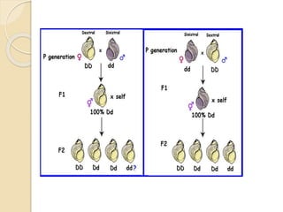 EXTRA CHROMOSOMAL INHERITANCE | PPTX