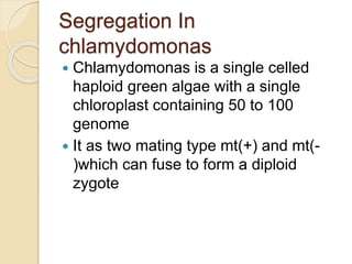 EXTRA CHROMOSOMAL INHERITANCE | PPTX