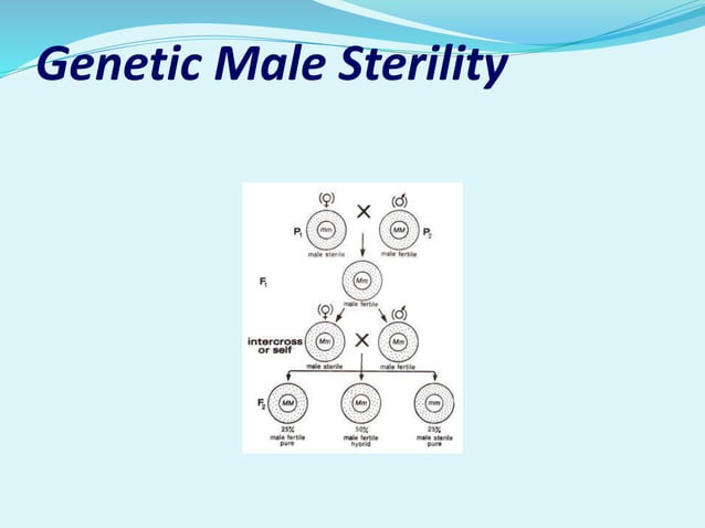 Extra chromosomal inheritance | PPTX | Infertility | Reproductive Health