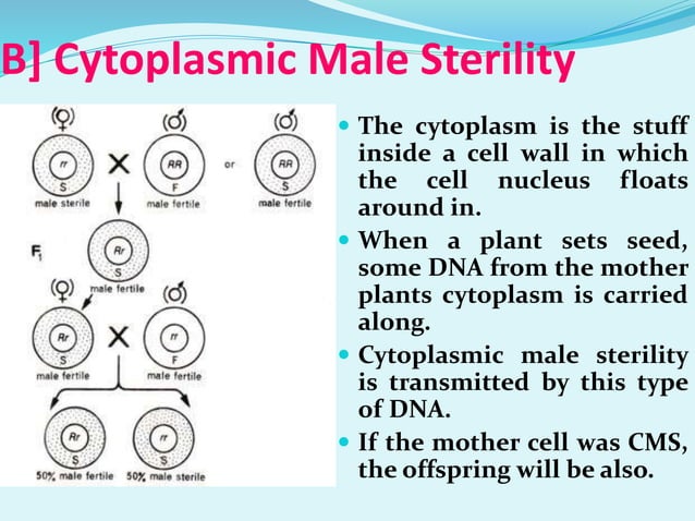 Extra chromosomal inheritance | PPT