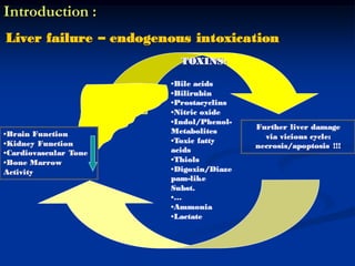 Extracorporeal liver support therapies | PDF