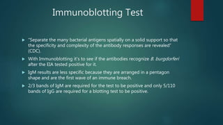 Case Study: Lyme Disease | PPTX | Infectious Diseases | Diseases and ...