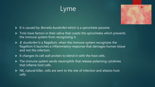 Case Study: Lyme Disease | PPTX | Infectious Diseases | Diseases and Conditions