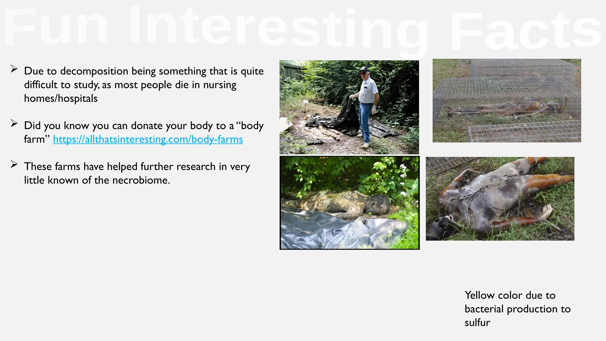 Death and Decomposition of the microbiome | PPTX